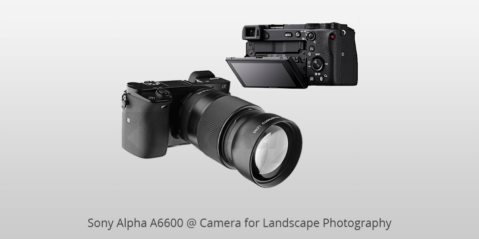 10 Best Cameras for Landscape Photography in 2023