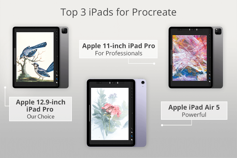 5 Best IPads For Procreate To Buy In 2024