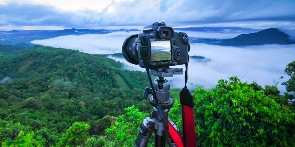 What Is a Tripod: Definition & Cases of Usage Explained