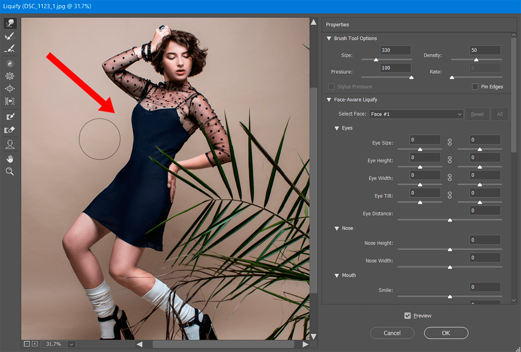 How To Use Liquify Tool In Photoshop For Beginners