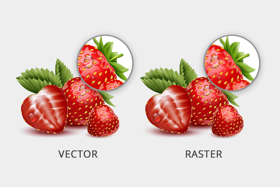 Illustrator vs Photoshop: When to Use Each Software