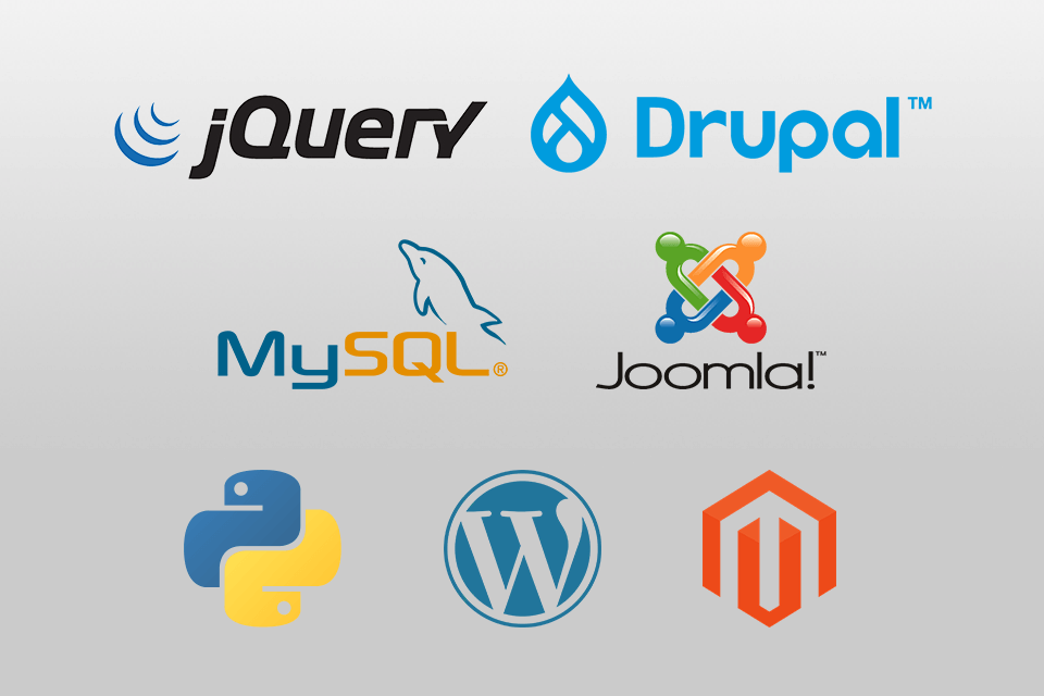 VentureHeap Digital Marketing Agency Review 2024