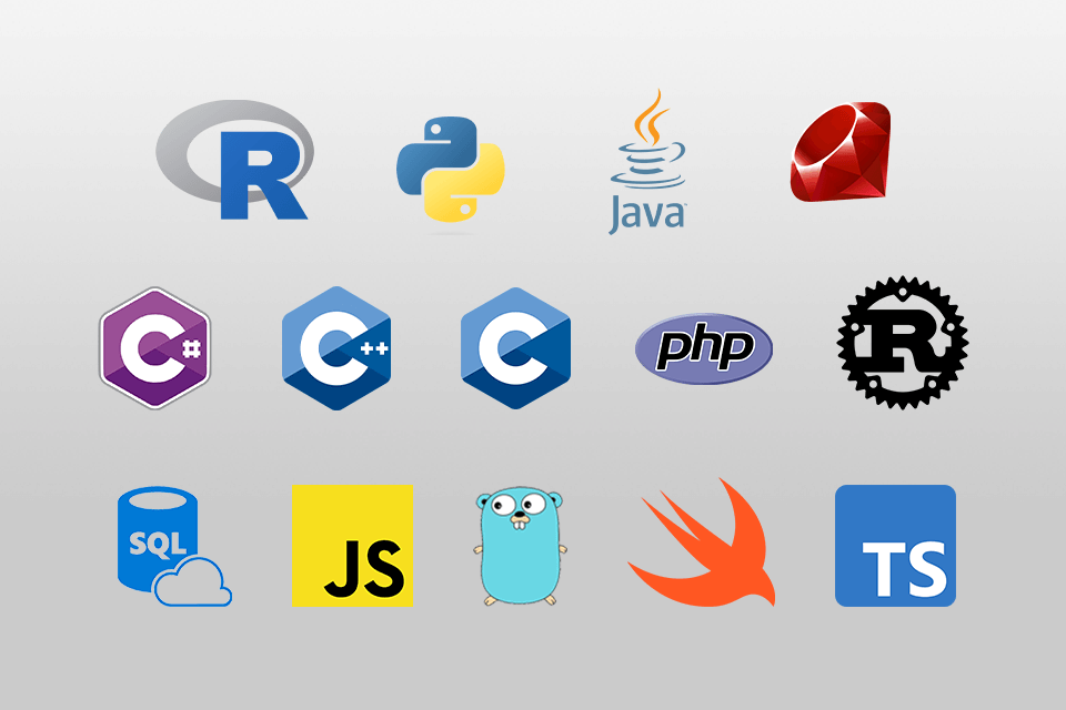 Types Of Web Development For Beginners: Complete Guide