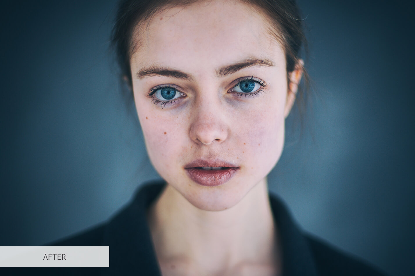 350 FREE Portrait Lightroom Presets - Download Now!