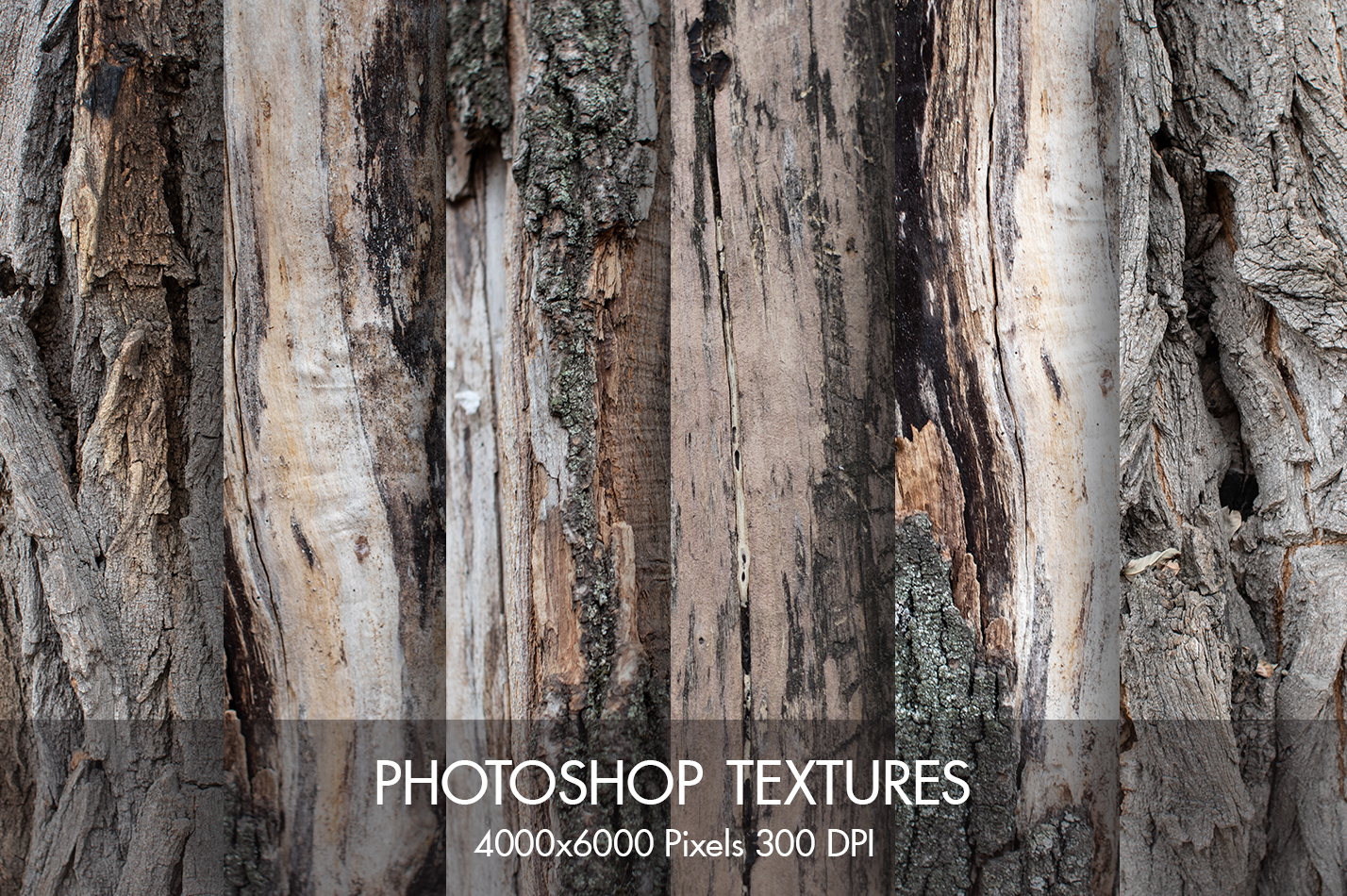 Natural Tree Photoshop Textures – Premium Collection