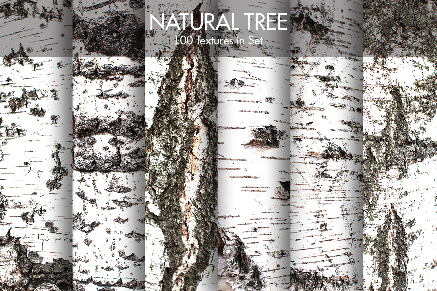 Natural Tree Photoshop Textures – Premium Collection