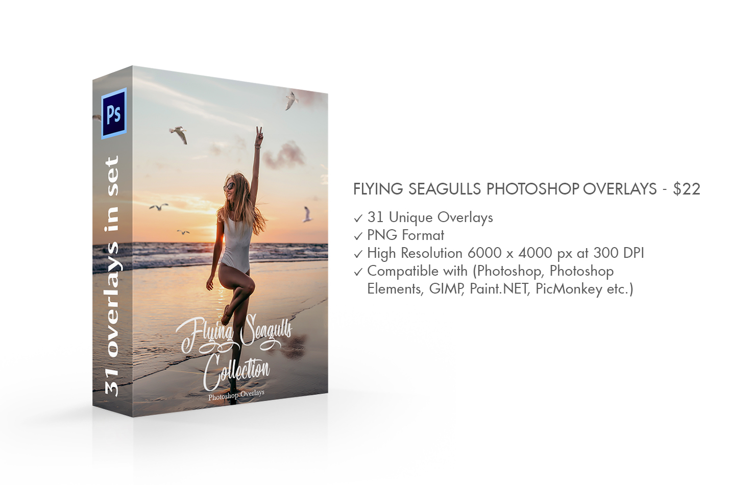 Flying Seagulls Photoshop Overlay – 31 High-quality Photoshop Overlays