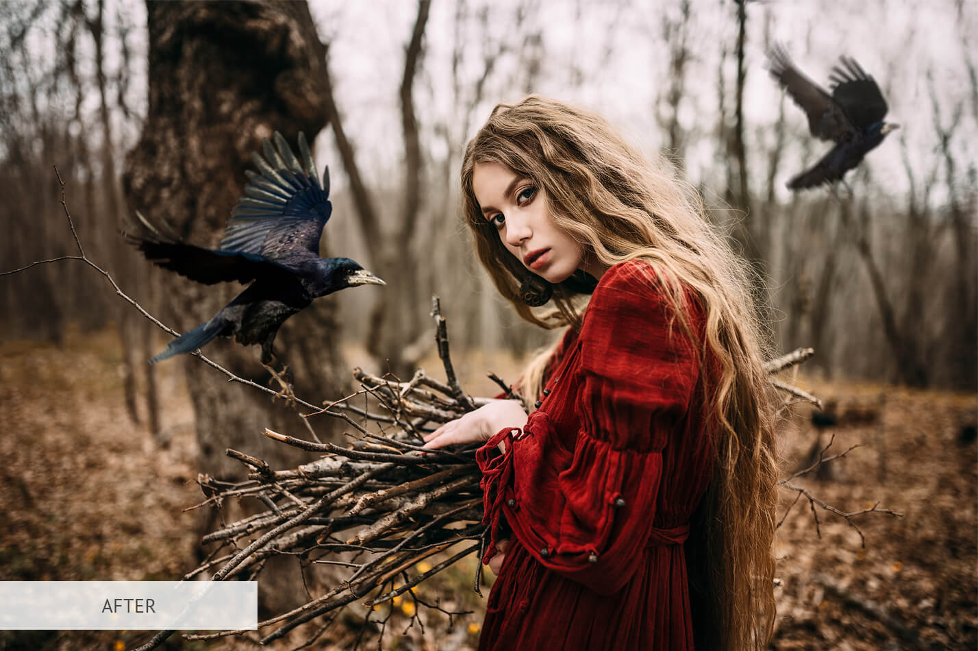 Bird Flight Photoshop Overlays – 58 Bird Overlays in PNG Format