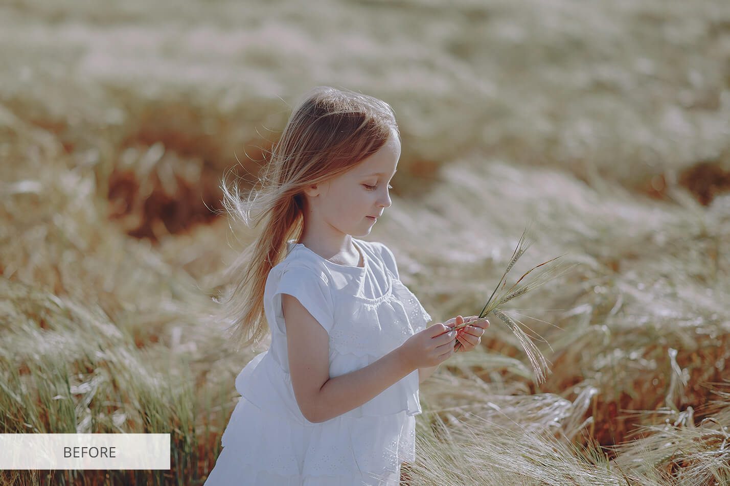 Pastel Photoshop Overlays