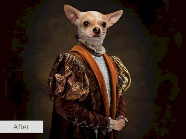 #1 Animal Photo Editor Services | Fixthephoto