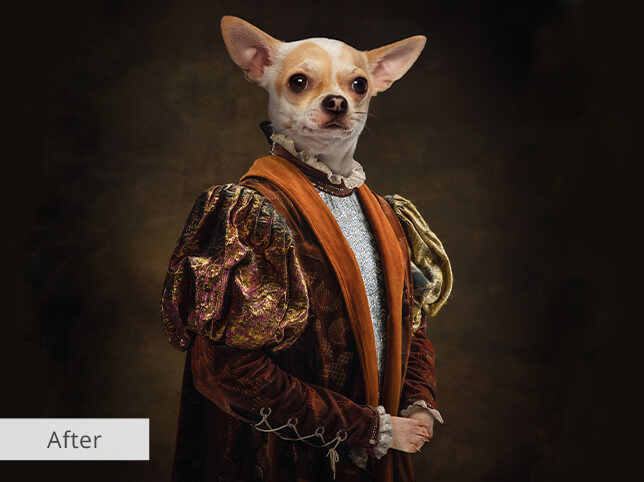 #1 Animal Photo Editor Services | Fixthephoto