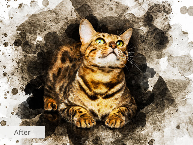 #1 Animal Photo Editor Services | Fixthephoto