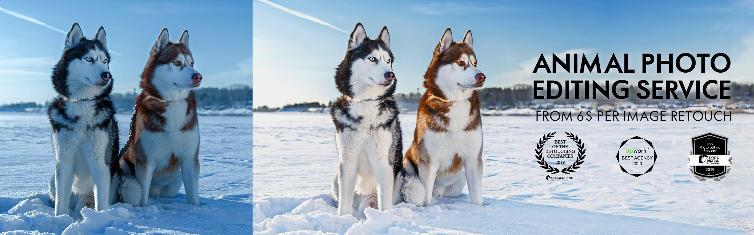 #1 Animal Photo Editor Services | Fixthephoto