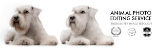 #1 Animal Photo Editor Services | Fixthephoto