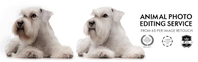 #1 Animal Photo Editor Services | Fixthephoto