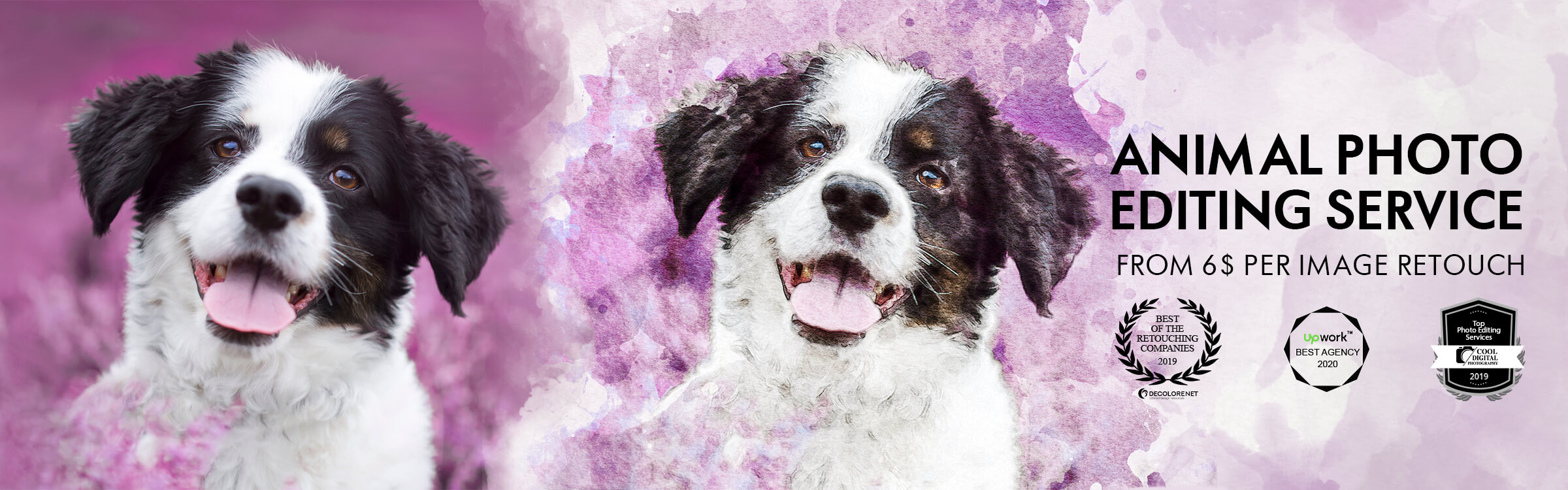 #1 Animal Photo Editor Services | Fixthephoto