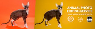 #1 Animal Photo Editor Services | Fixthephoto