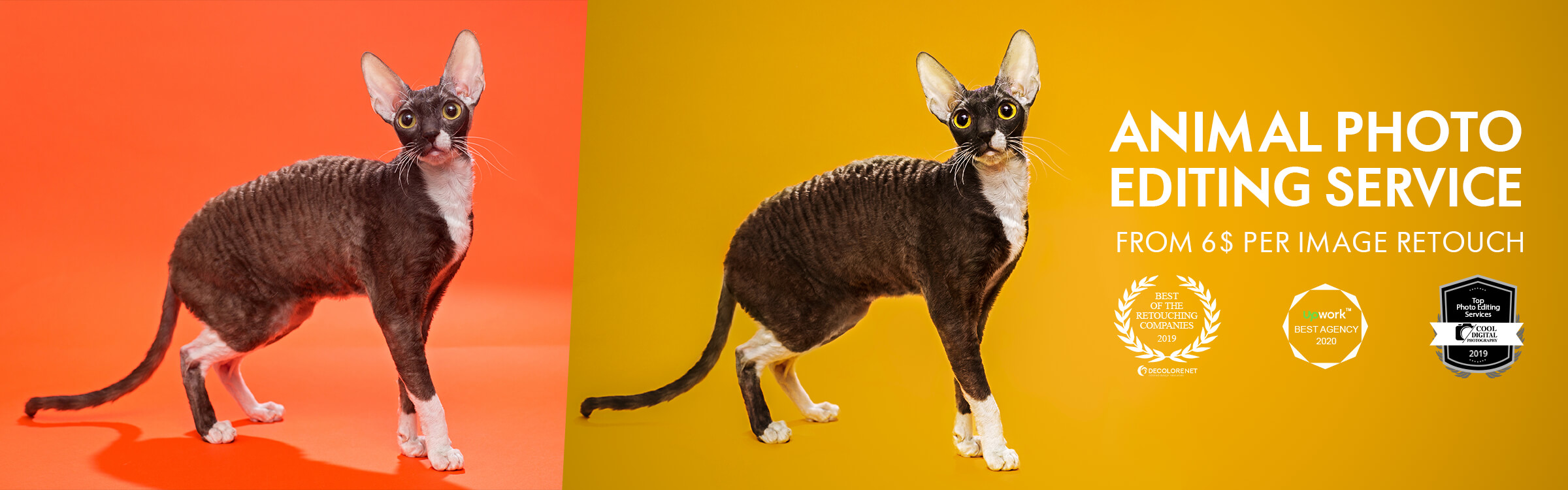 #1 Animal Photo Editor Services | Fixthephoto