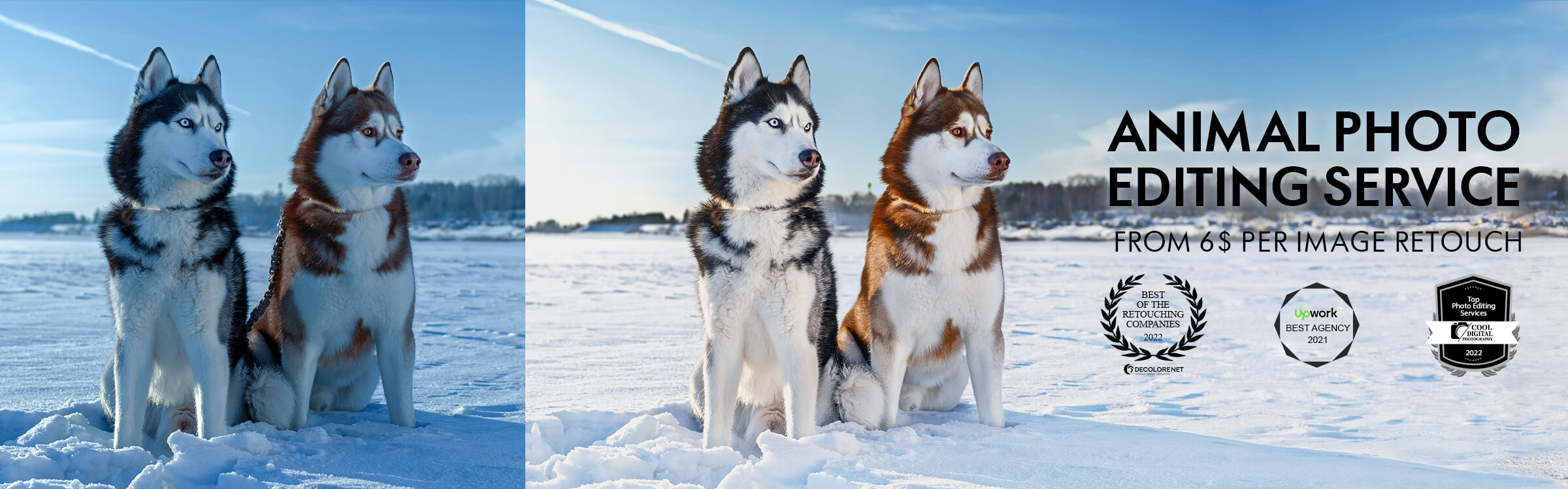 #1 Animal Photo Editor Services | Fixthephoto