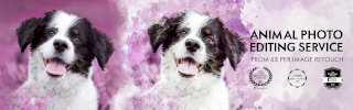 #1 Animal Photo Editor Services | Fixthephoto