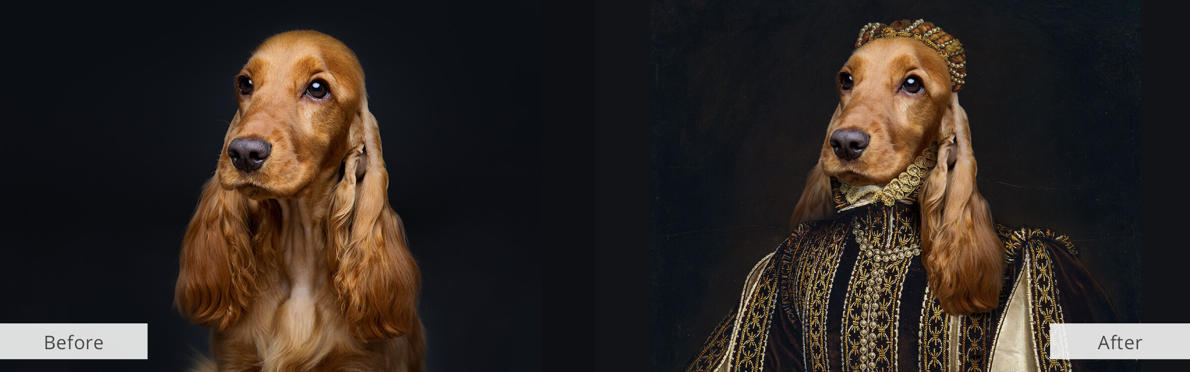 #1 Animal Photo Editor Services | Fixthephoto