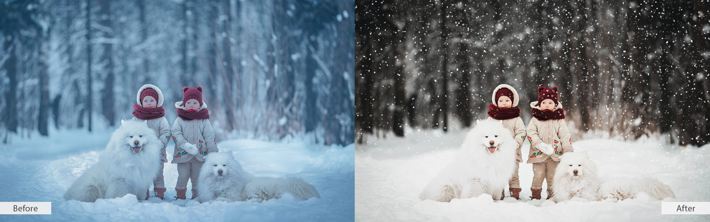 Image Manipulation Service | Online Photo Manipulation Services