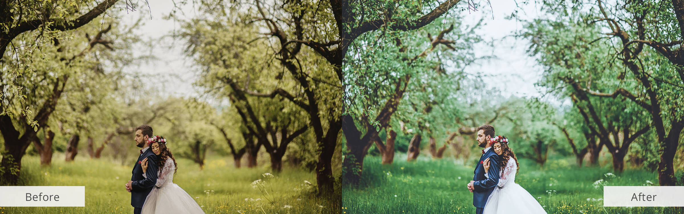 Photo Color Correction Services | Color Correction Company