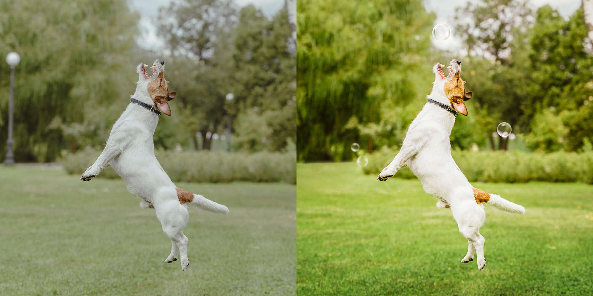 Retouched Photos Before and After