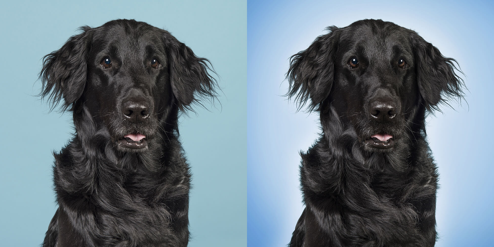 Extra Photo Retouching | Lifetouch Retouching Service
