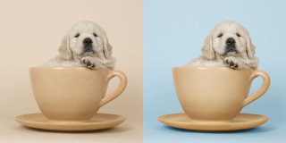 Extra Photo Retouching | Lifetouch Retouching Service