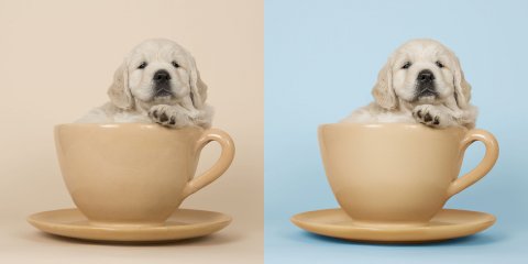 Extra Photo Retouching | Lifetouch Retouching Service