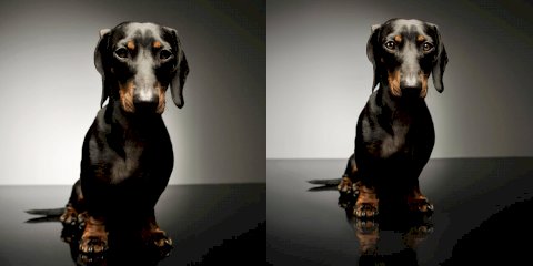 Extra Photo Retouching | Lifetouch Retouching Service